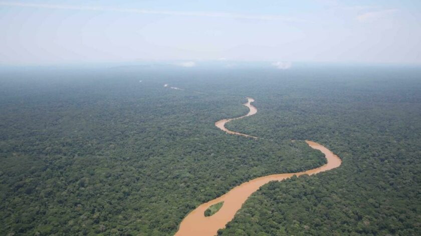 RDC-Etat de siège : "Le pétrole alimente le conflit en Ituri" (Shannon ...